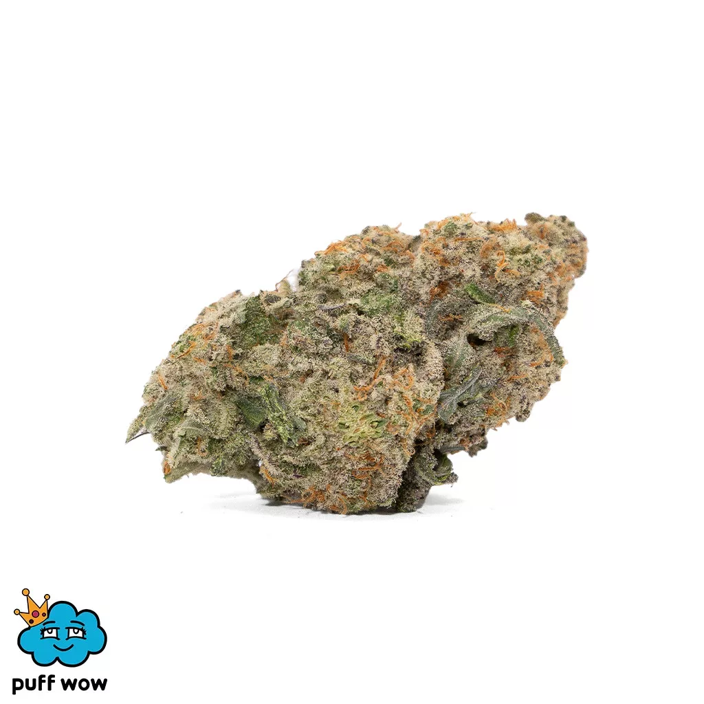 Same Day Winnipeg Weed Delivery | Best Cannabis Store