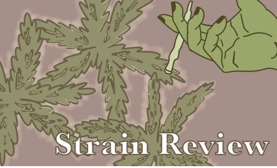 Strain Review: Cookie Monster • Puff Wow
